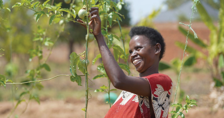 Raising the Village: a Data-informed Livelihoods Model