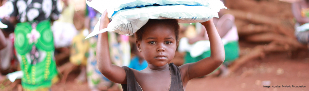 Against Malaria Foundation - The Life You Can Save